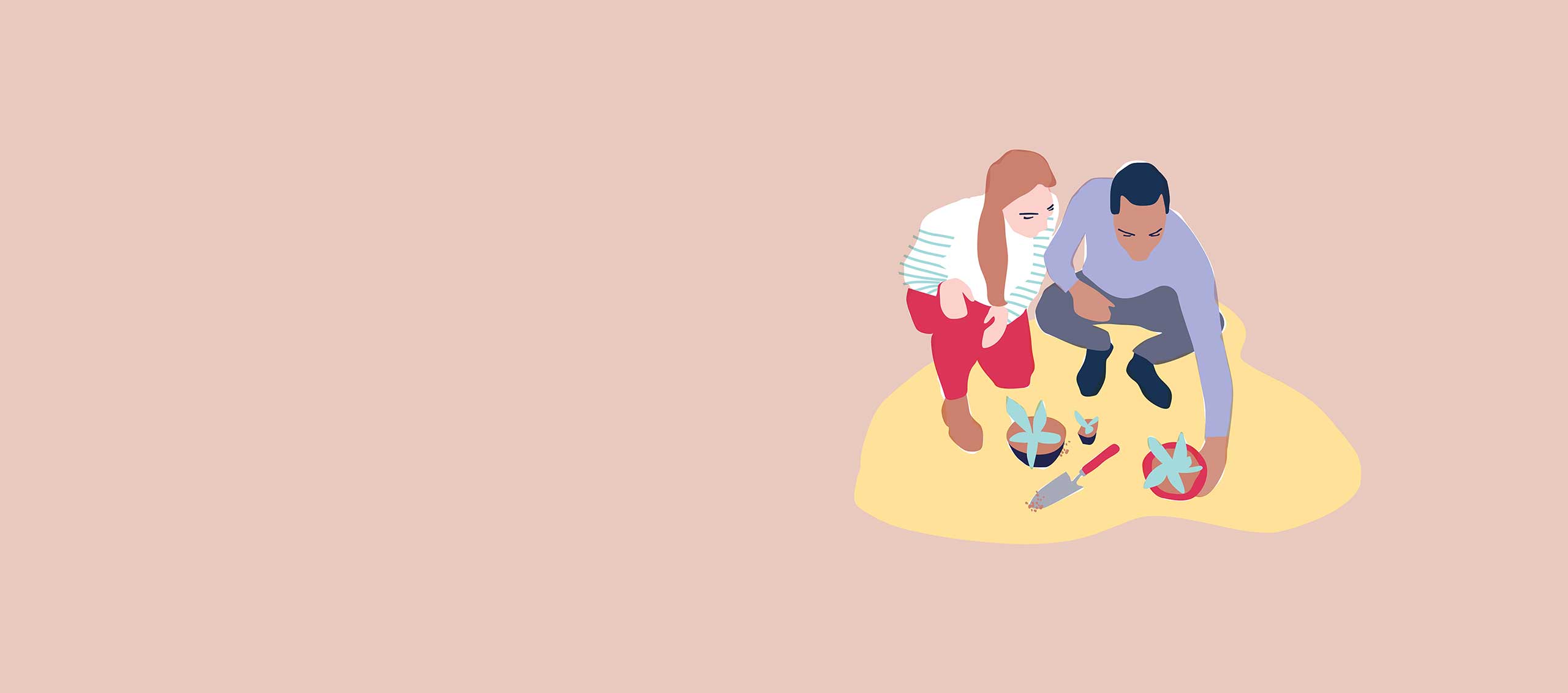 What is a PBS Plan? - Melior