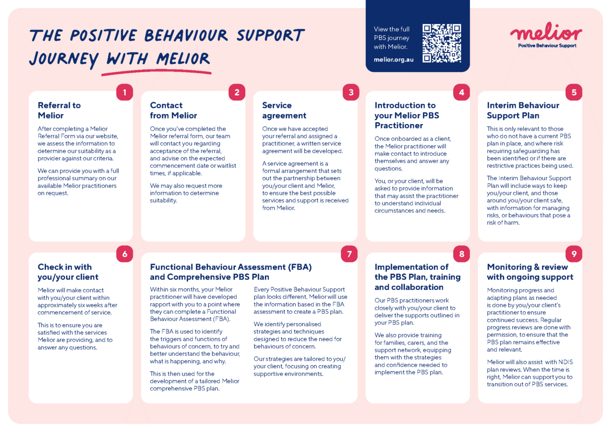 The Positive Behaviour Support Journey with Melior